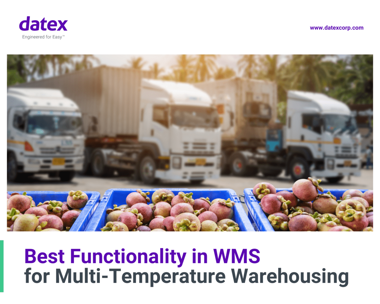 Best Functionality in WMS for Multi-Temperature Warehousing